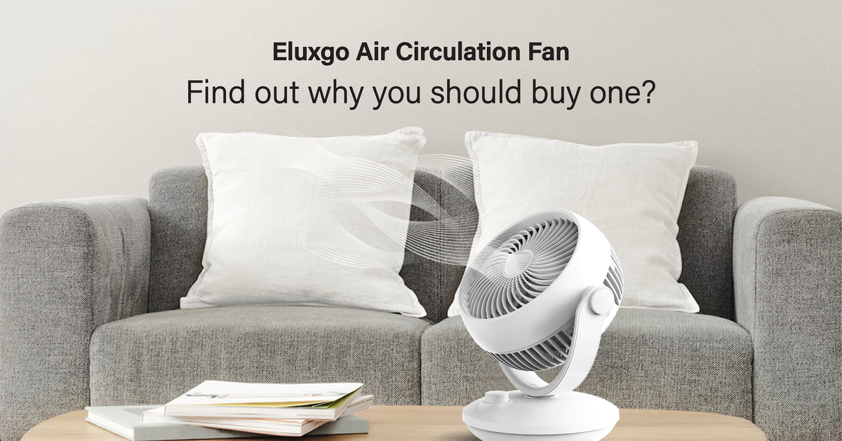 Eluxgo Blog | Traditional Fan vs Air Circulation Fan – Eluxgo Holdings ...